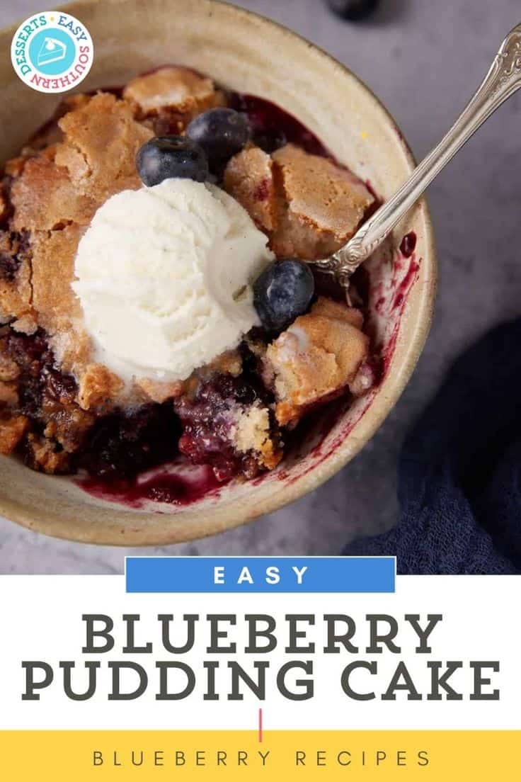Blueberry Self-Saucing Pudding Cake - Easy Southern Desserts